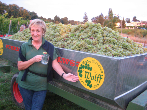 Wolff Heuriger-Weingut in Wien | HEROLD.at