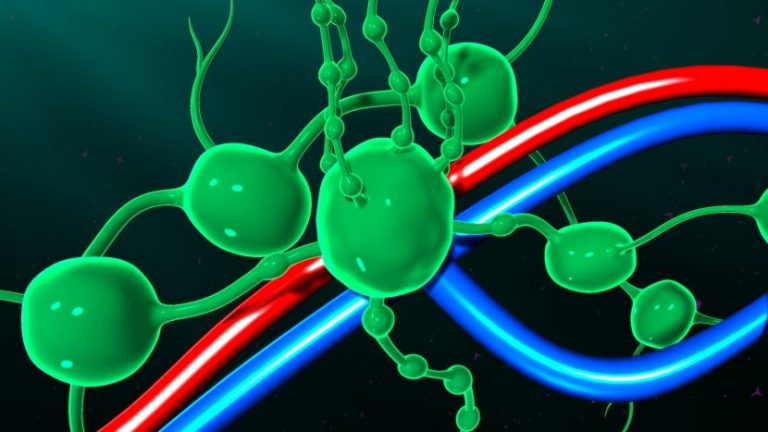 Lymphödem Selbstbehandlung: Beschwerden verringern - HEROLD.at