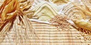 Hilfe, Mehlmilben! Kleine weiße Tierchen in der Küche - Herold