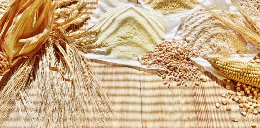 Hilfe, Mehlmilben! Kleine weiße Tierchen in der Küche - Herold