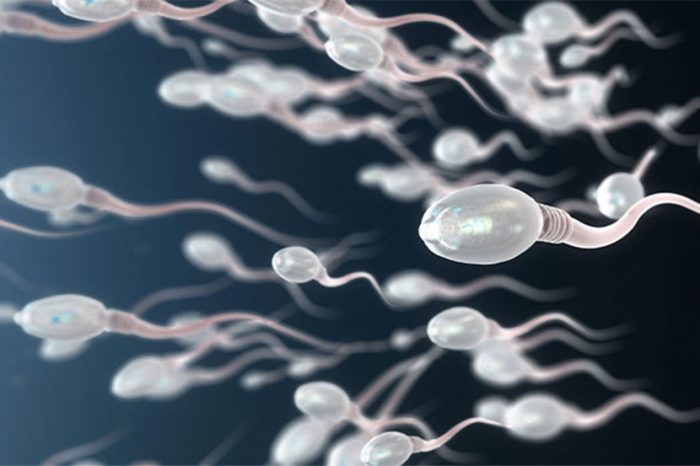 Spermiogramm Wien | Spermaqualität im Labor testen - HEROLD